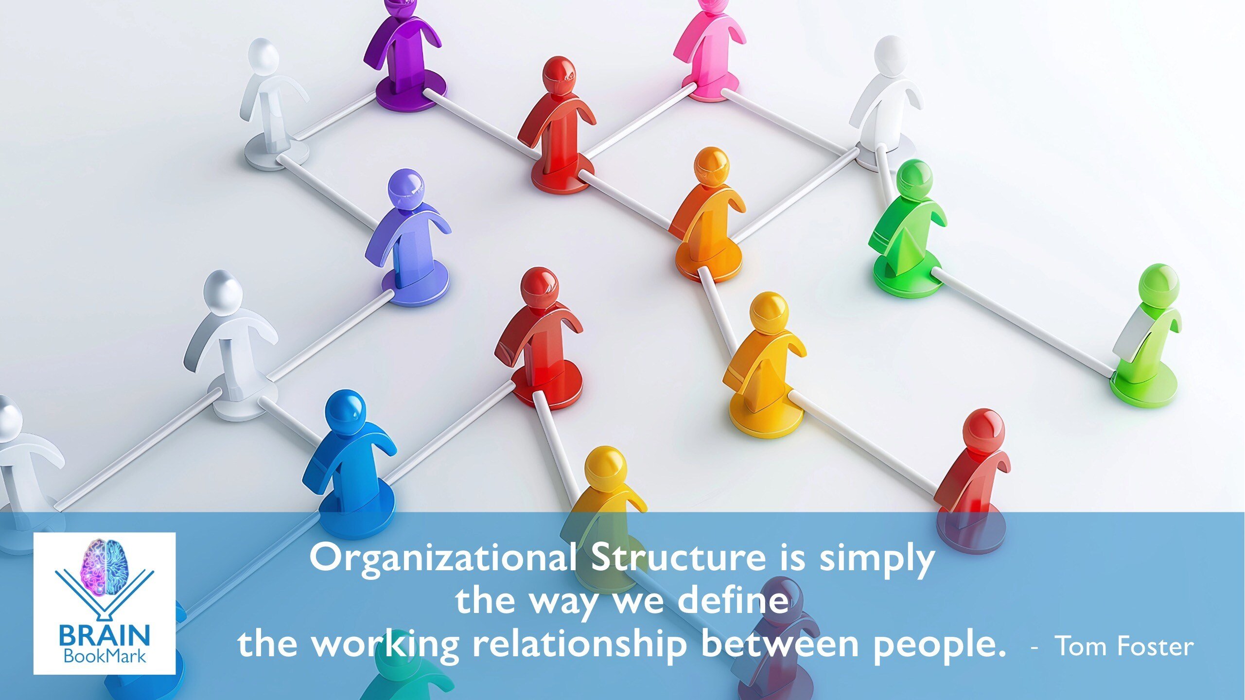 Making The Organization With Tom Foster
