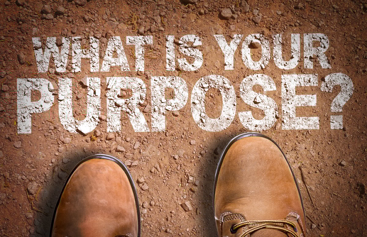 Cause and Purpose: The 7th Fundamental of Every Great Organization System